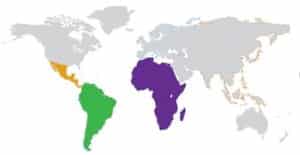 Yellow Fever - ANPC Healthcare & Travel Clinic